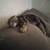 Иконка канала channel71224602