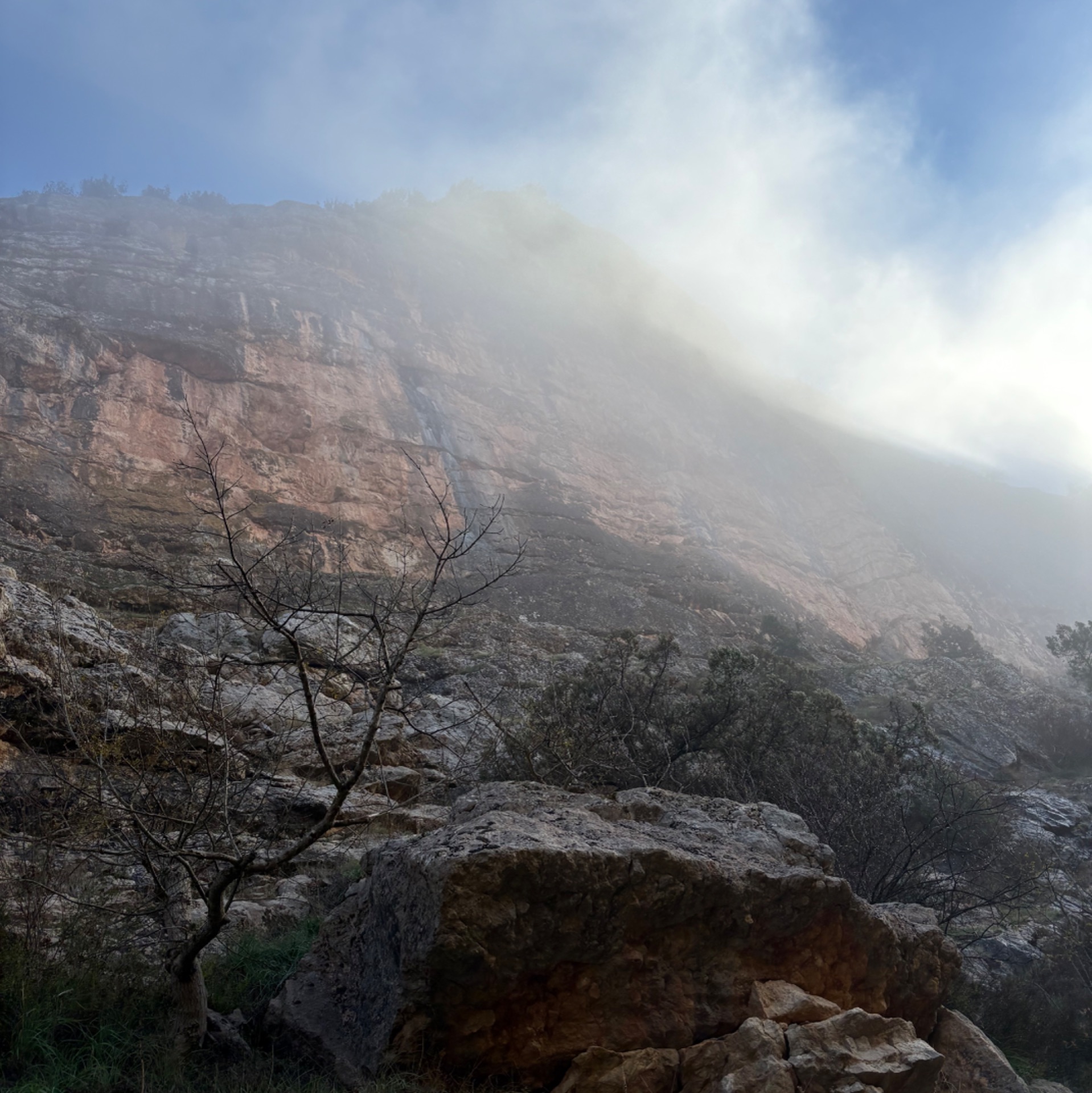 Иконка канала Лайфстайл