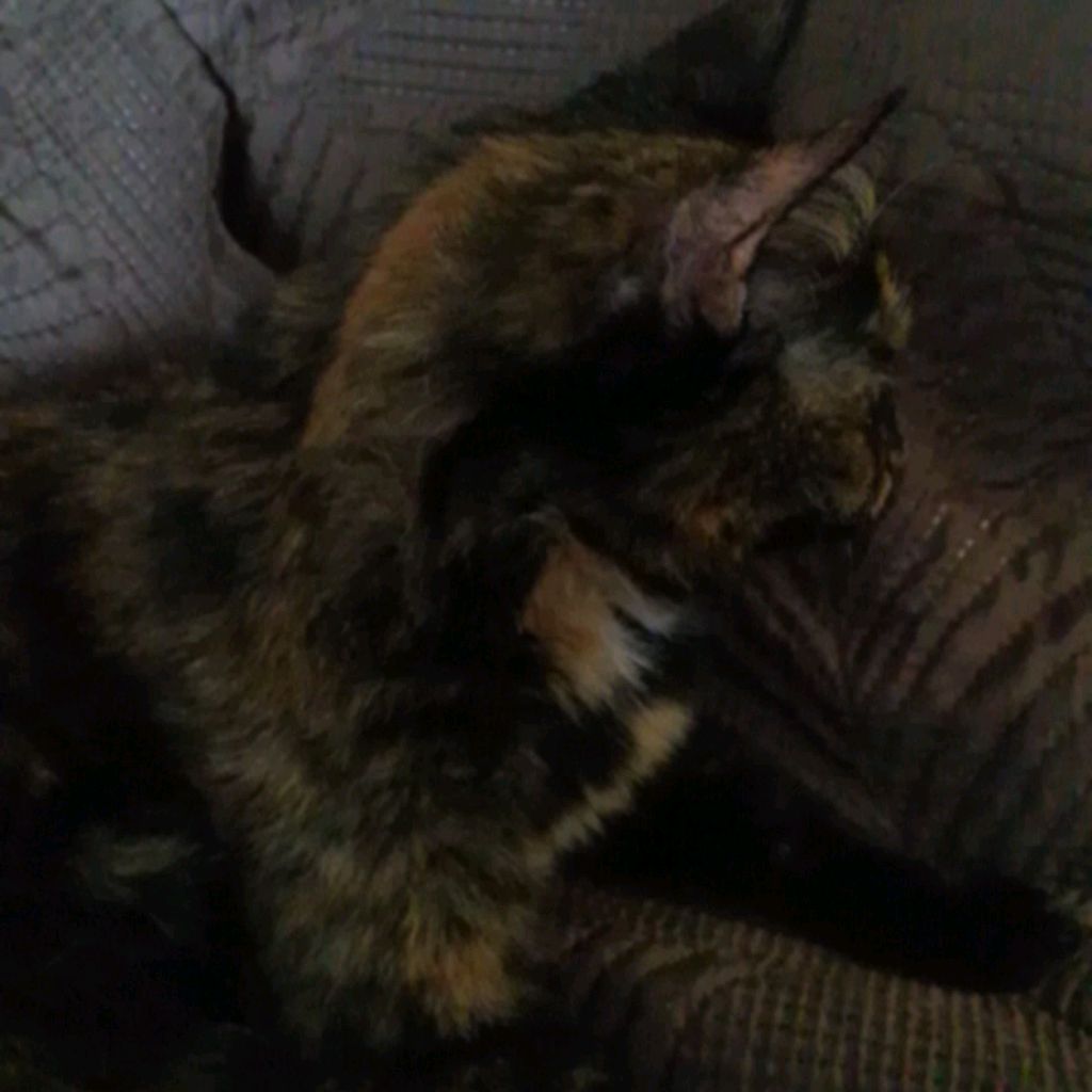 Иконка канала channel72668938