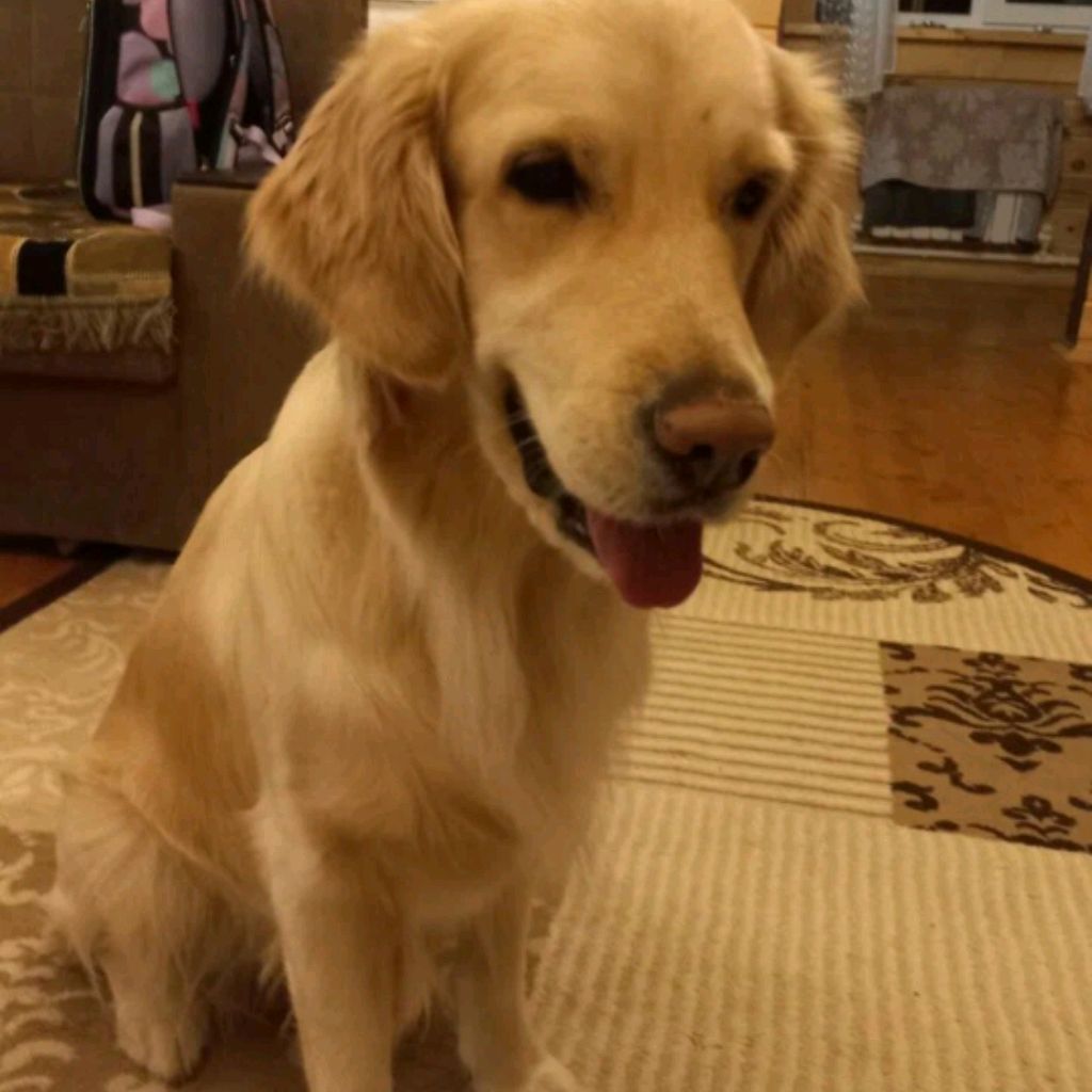 Иконка канала Вау Саша