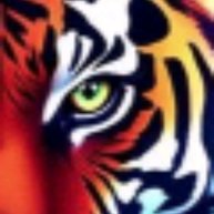 Иконка канала Огненный Тигр 2
