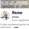 Иконка канала Яялю