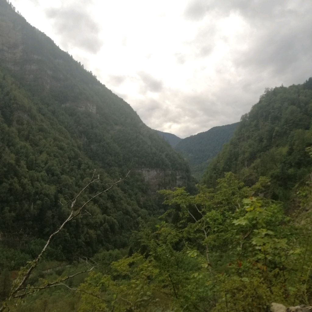 Иконка канала Ksenia