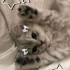 Иконка канала 🎀Nastya🎀