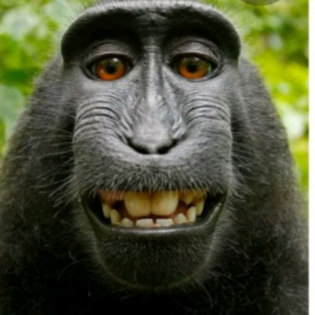 Иконка канала Гарданкер