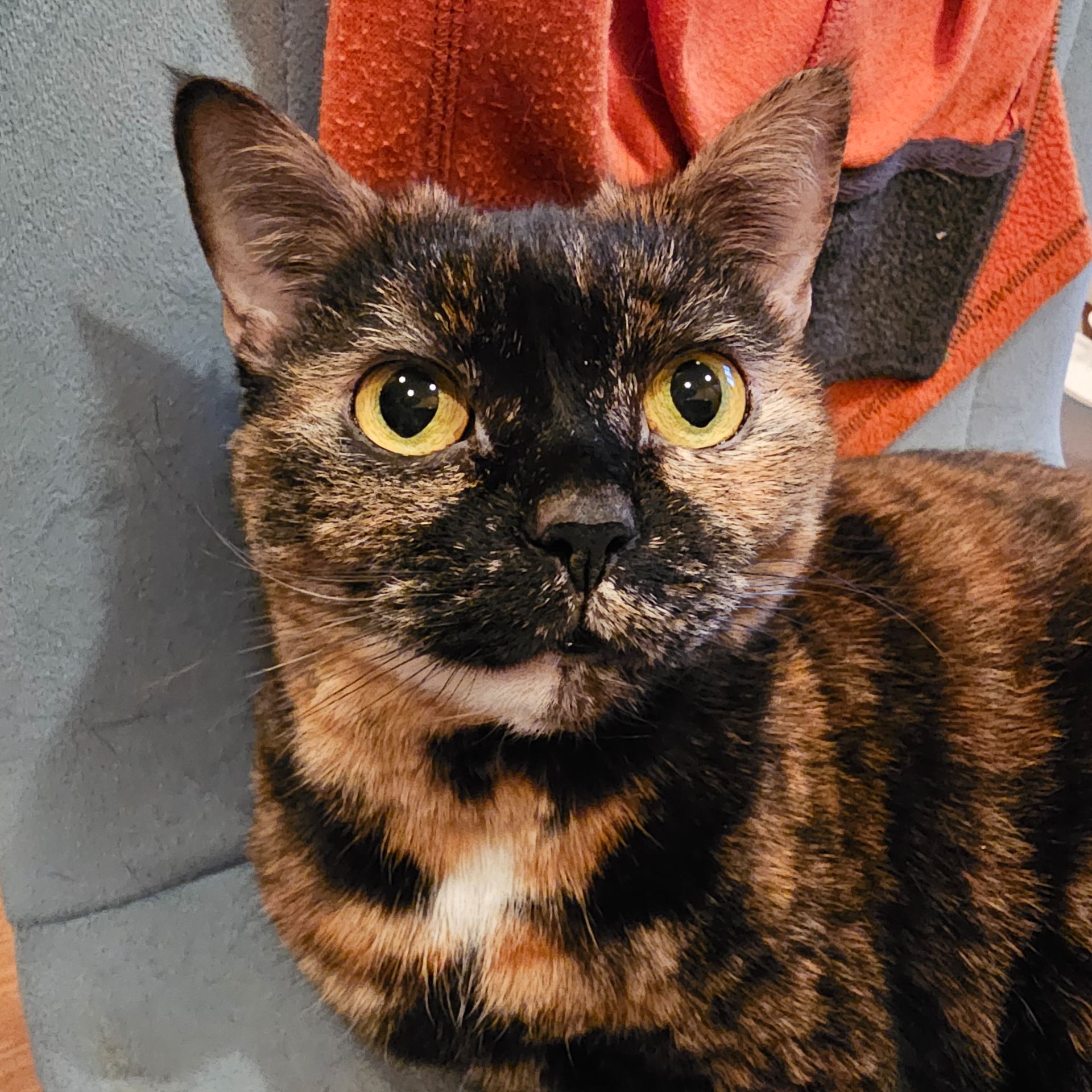 Иконка канала ТриКОТАж