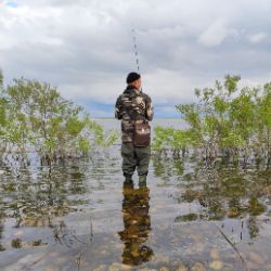 Иконка канала Рыбалка Для Всех!