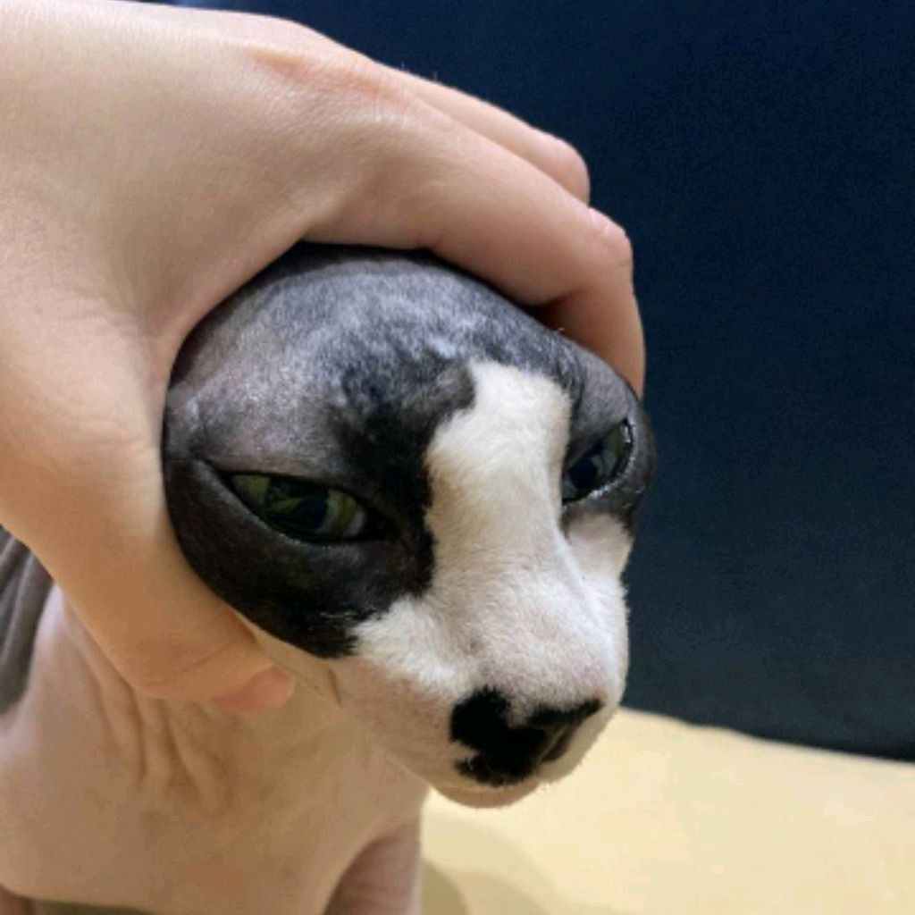 Иконка канала channel53233619