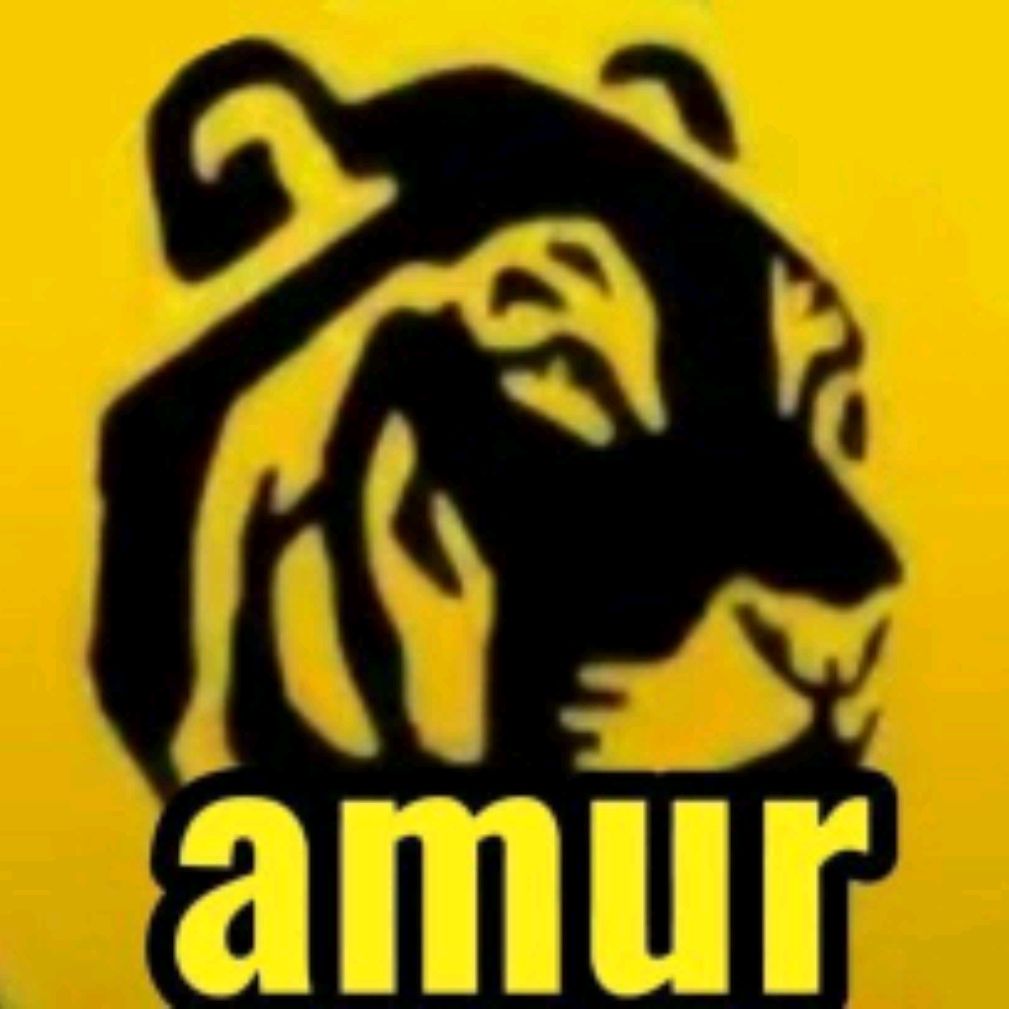 Иконка канала amur