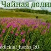 Иконка канала Чайная Долина
