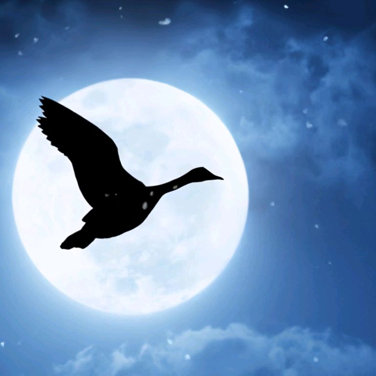 Иконка канала Лебеди в полëте