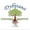 Иконка канала Питомник растений Дубрава