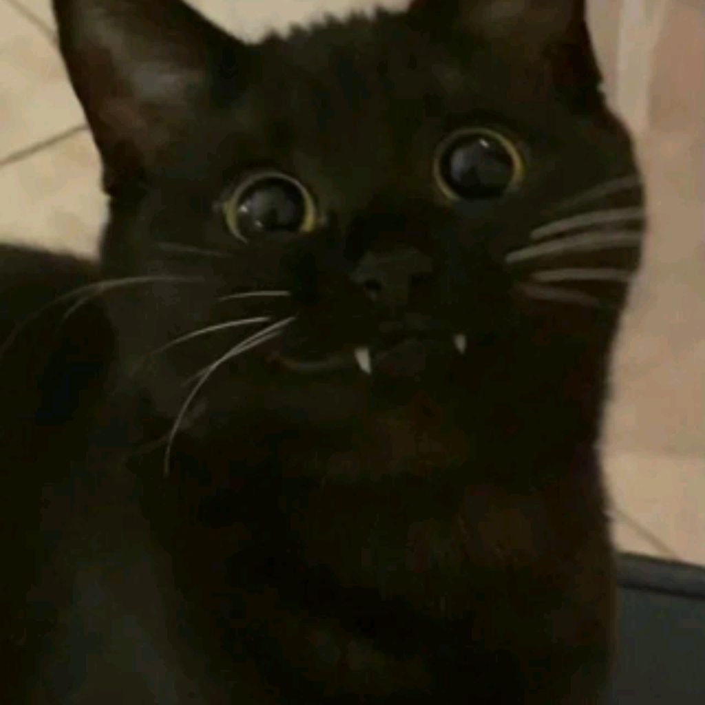 Иконка канала kuz9ka