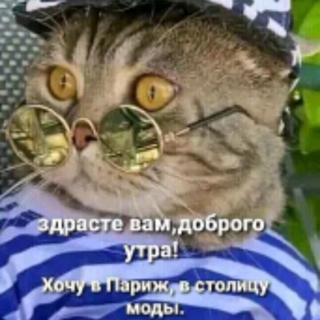 Иконка канала Кота23к