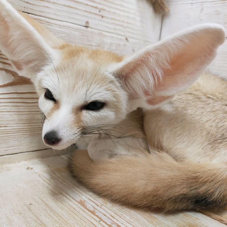 Иконка канала MAramix17