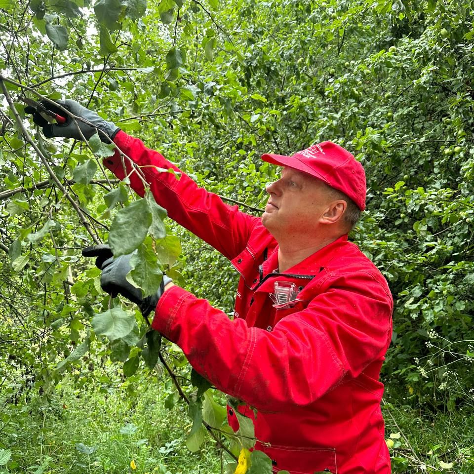 Иконка канала Обрезка деревьев Ниваки Топиарная стрижка