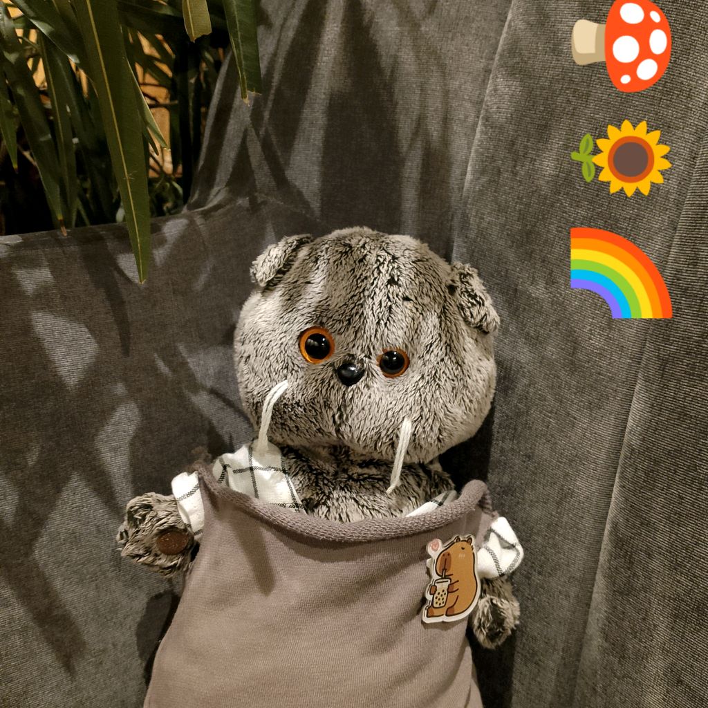 Иконка канала О чём расскажет чёрная кошка?