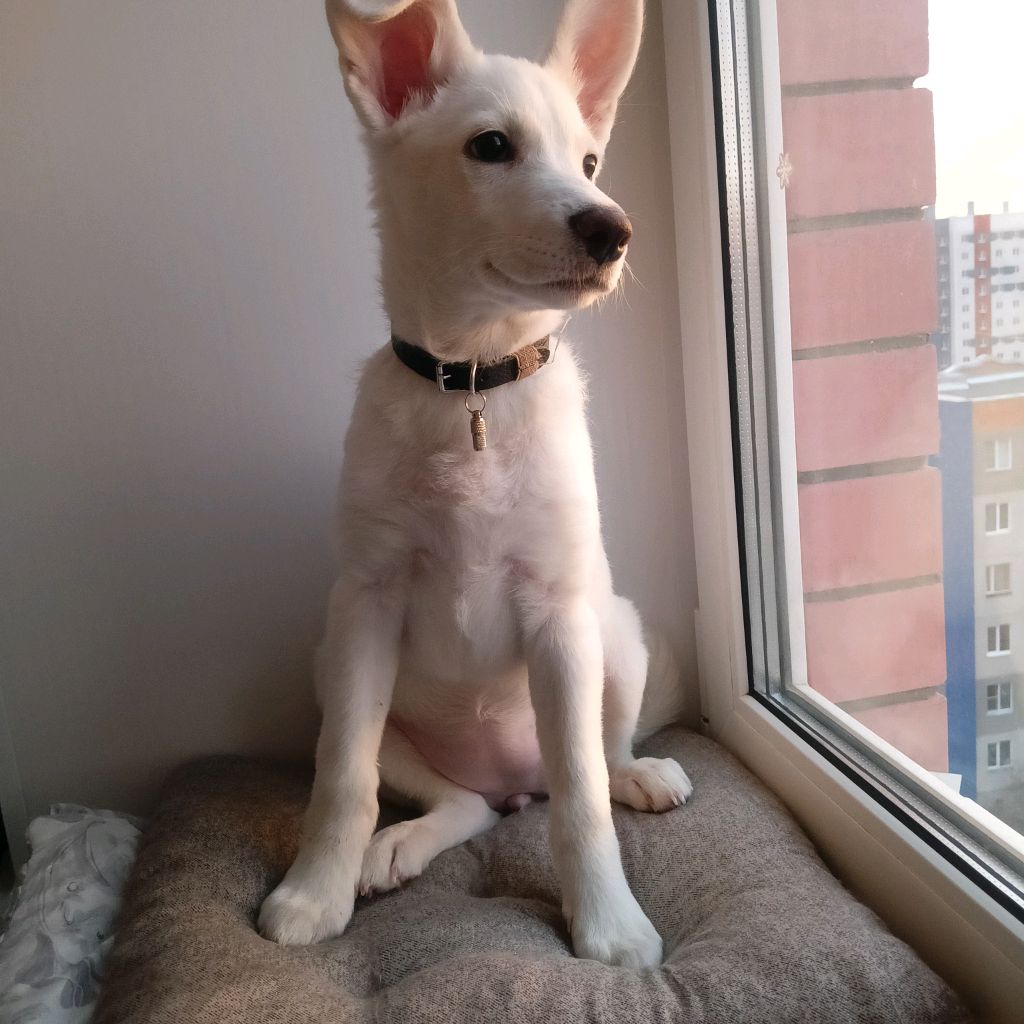 Иконка канала Провинциальная НеДоДачница и Герда