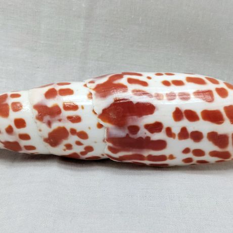 Иконка канала КРАБ