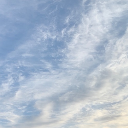 Иконка канала No Name