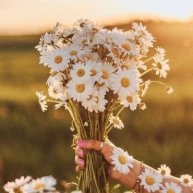 Иконка канала ✨ Простая Жизнь Татьяны✨