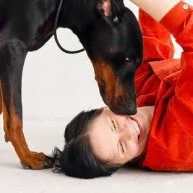 Иконка канала Питомник Доберманов LORD SVAROG