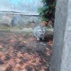 Иконка канала Только Реальная Жизнь Григорий