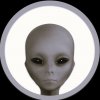Иконка канала ANIMA