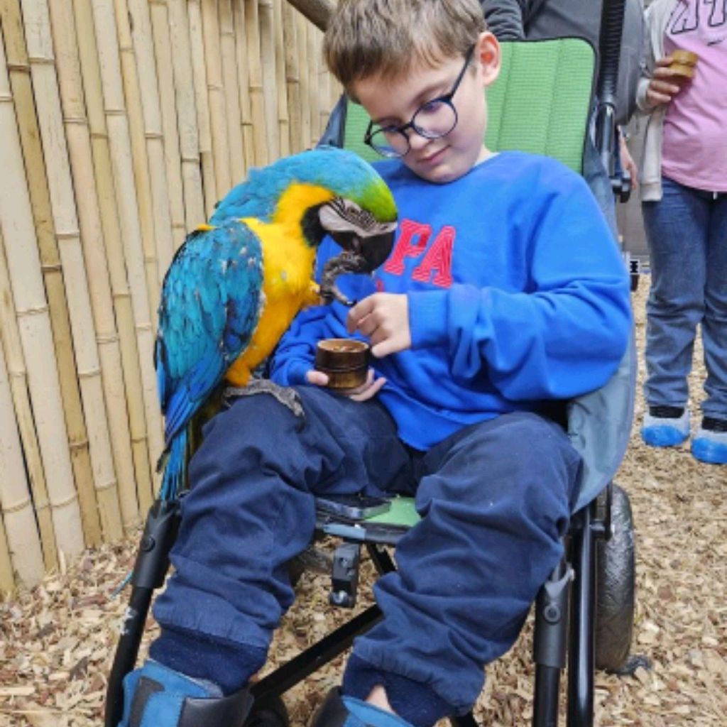 Иконка канала Альберт 11