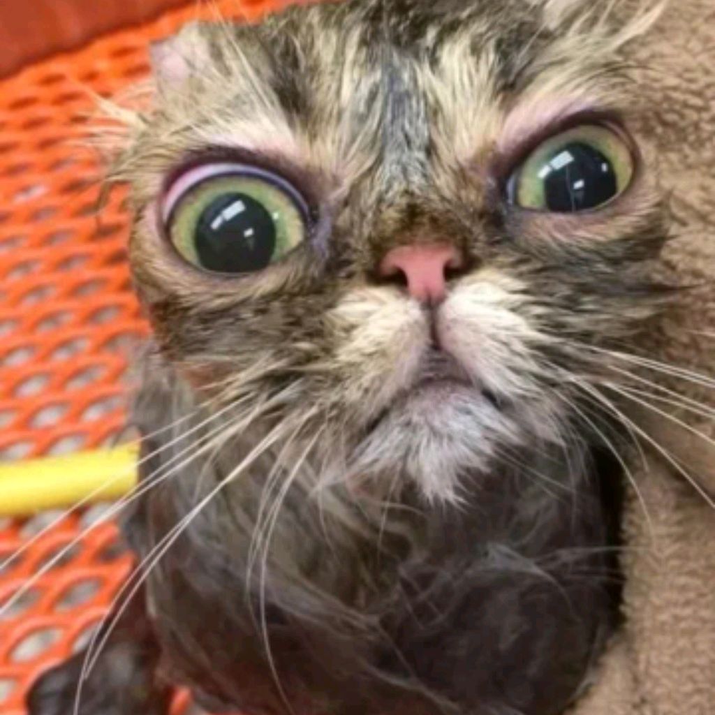 Иконка канала Кальмарчик