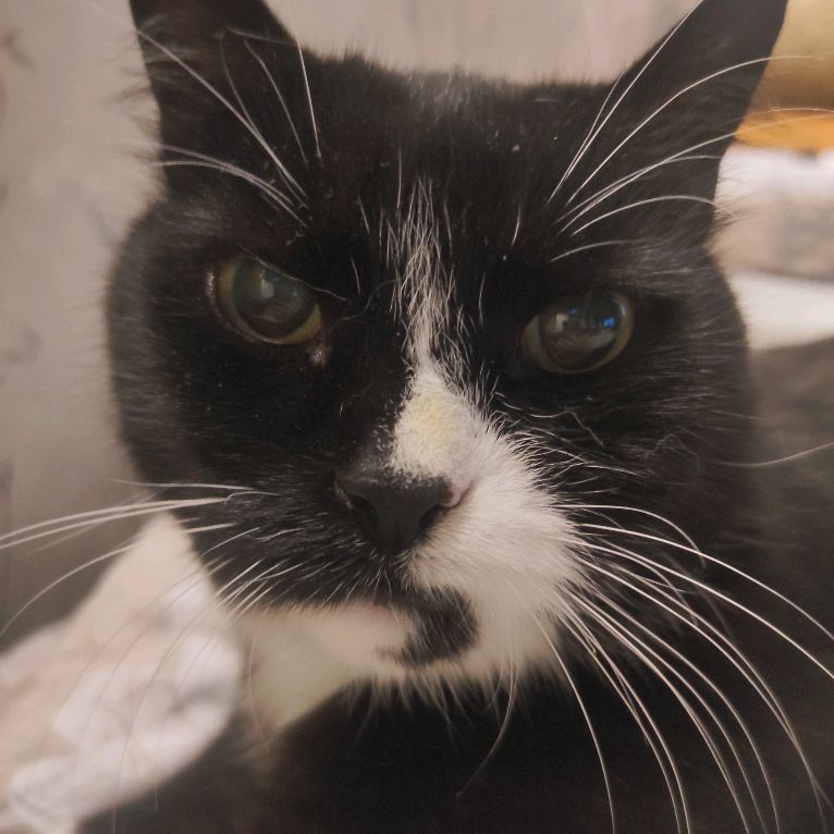 Иконка канала Моя Жизнь И всё Токое