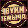 Иконка канала ЗвукиТёмыча