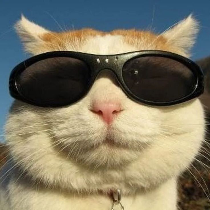 Иконка канала Максимка Игры Топ