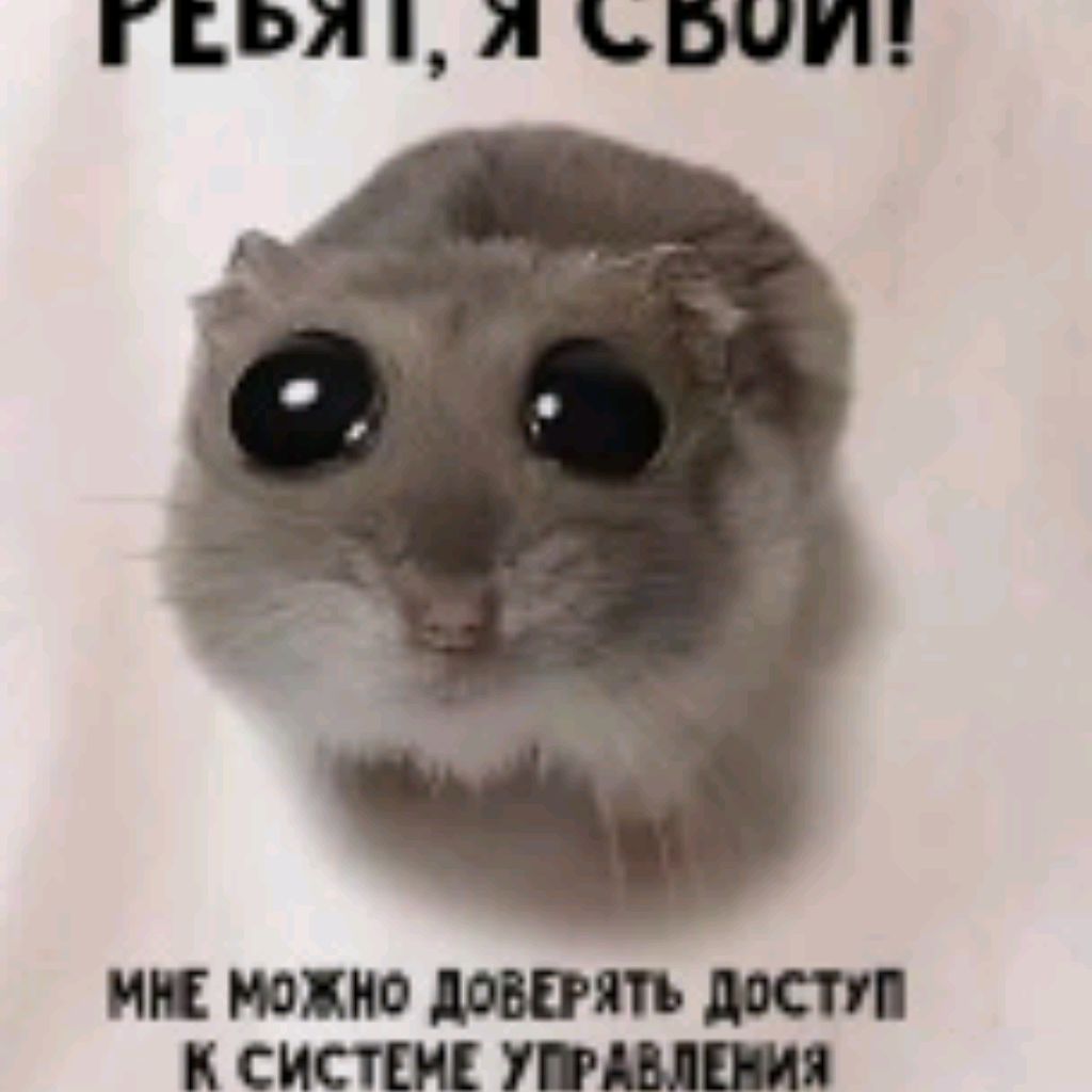 Иконка канала Приколы Шорч