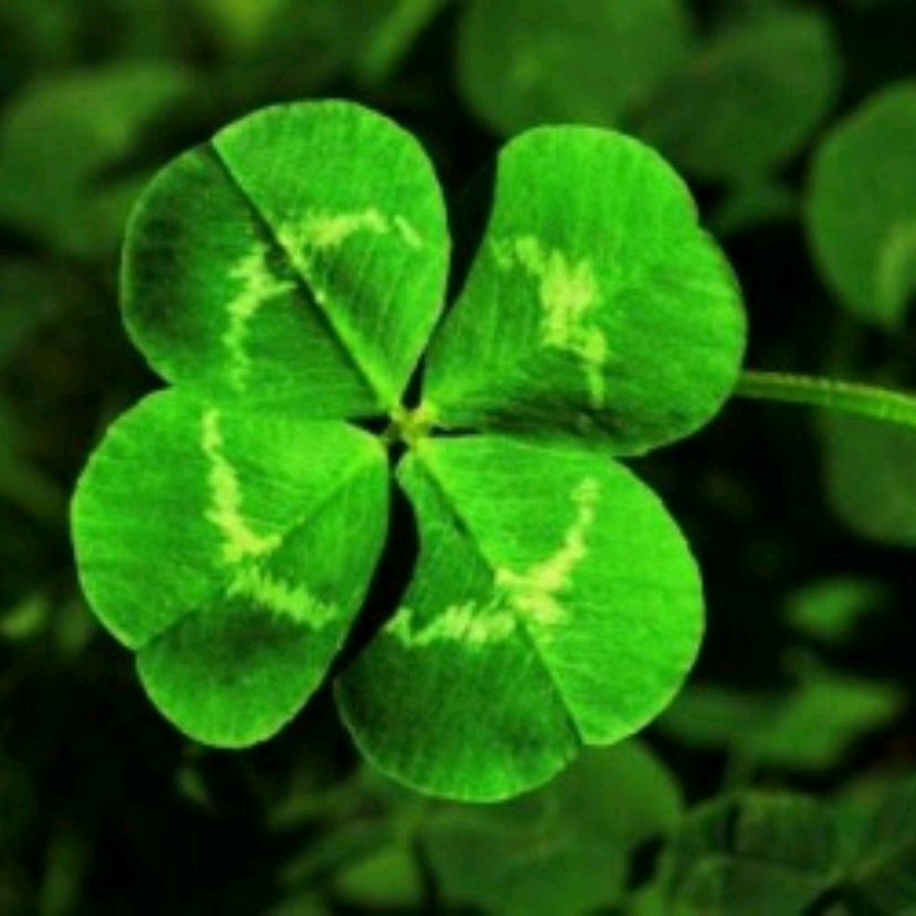 Иконка канала Fed-red обо всем