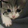 Иконка канала [🐾]няшка[🌿]