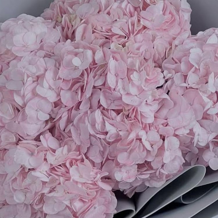 Иконка канала Nes_poetessa