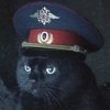Иконка канала YaKotikTvoy