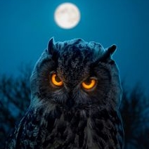 Иконка канала Анна Смит