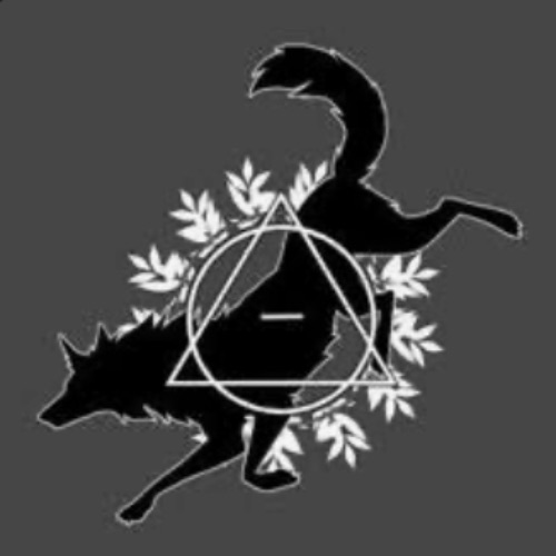 Иконка канала ╺⃝⃤Lynx╺⃝⃤