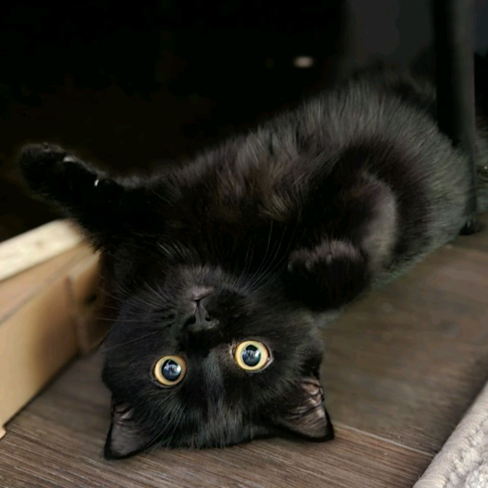 Иконка канала Radosti_neidealnoy_gizni