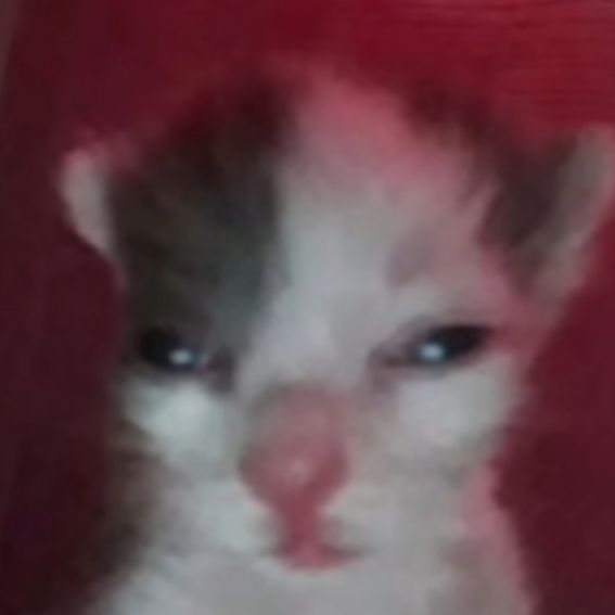 Иконка канала Я и мой лп, кринжули