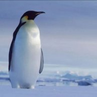 Иконка канала Мелодии сердца