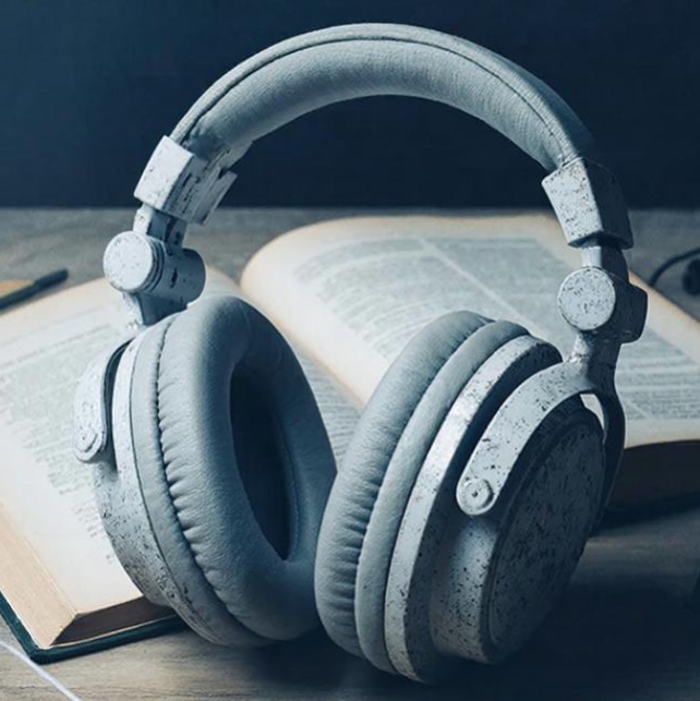 Иконка канала Уши в книге