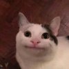 Иконка канала channel73509305