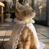 Иконка канала ♡!¡{😽}[mEoW😼]кОтЯрОчКа/RbX{😽}¡!♡