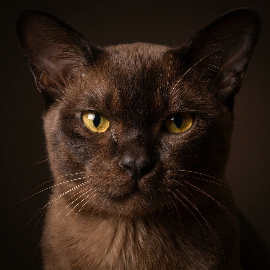 Иконка канала Михаил