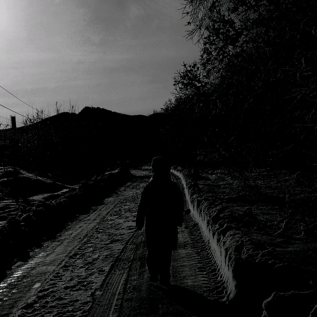 Иконка канала Хочешь сосну?        (Я про дерево..)...