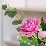 Иконка канала Аргентарий_Инвестиции + Форекс.