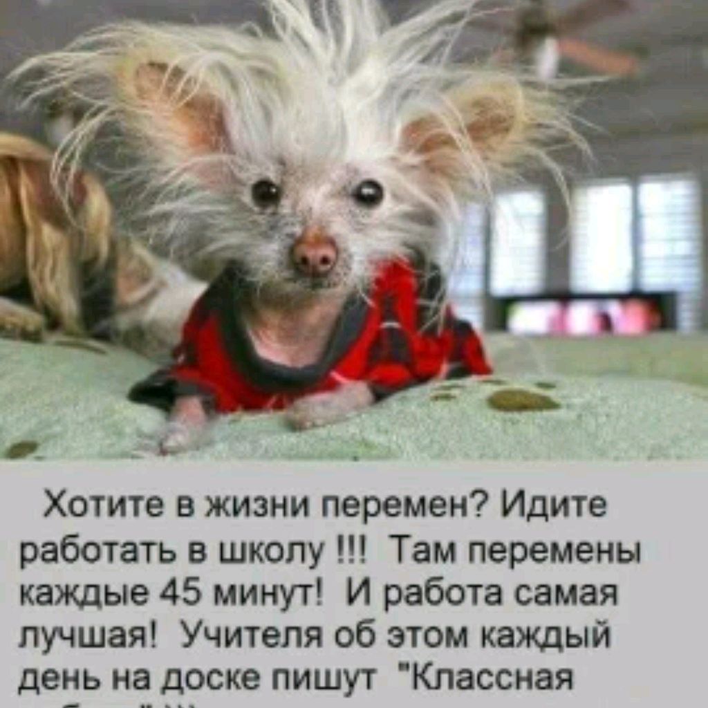 Иконка канала Шашлыки у Ашота